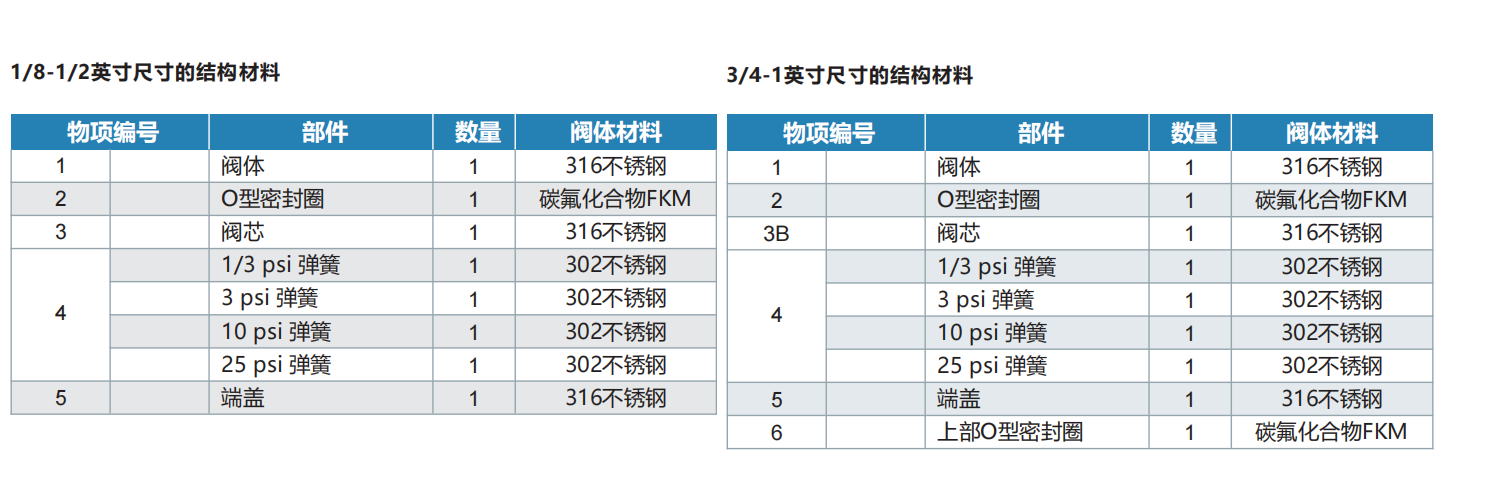 Check valve | BAISYLOK
